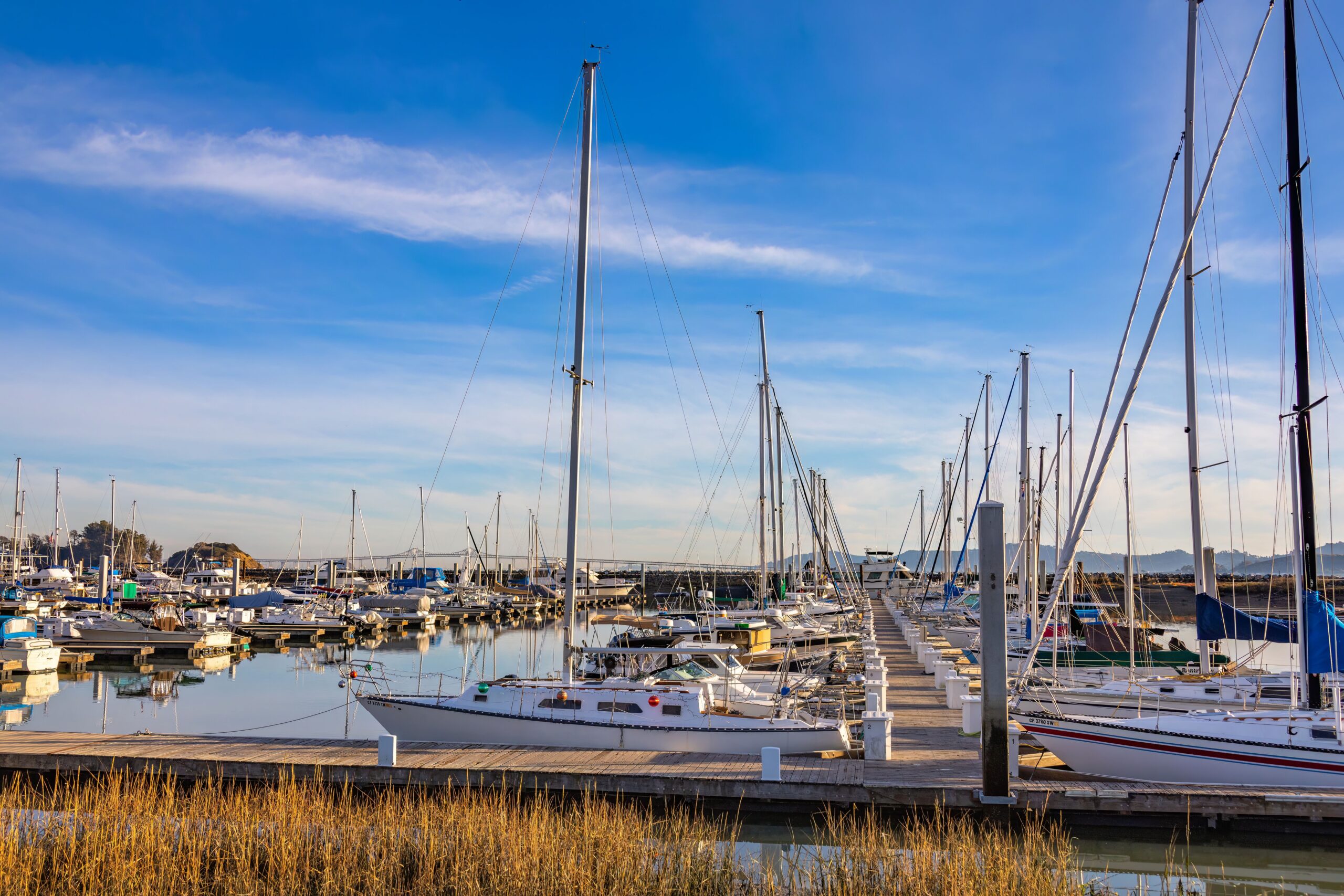 May 2025 Marina Market Report Trends Acquisitions And Development